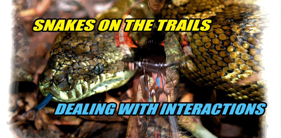Snakes On The Trail - Momentum Is Your Friend